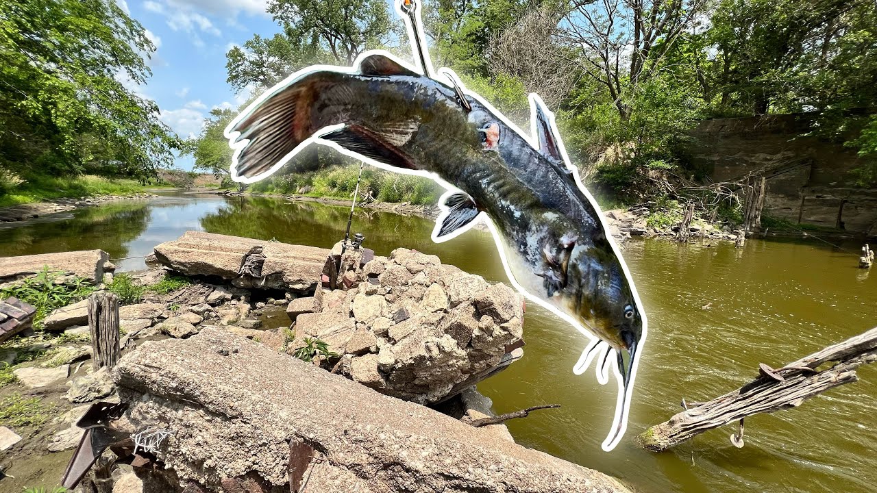 RIVER Fishing with LIVE Bullheads At Broken Dam - YouTube