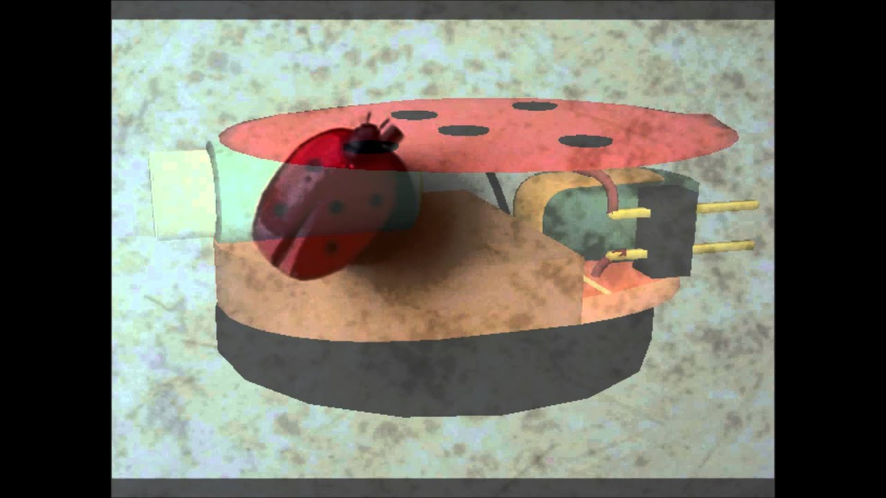 LadyBug Bot - YouTube