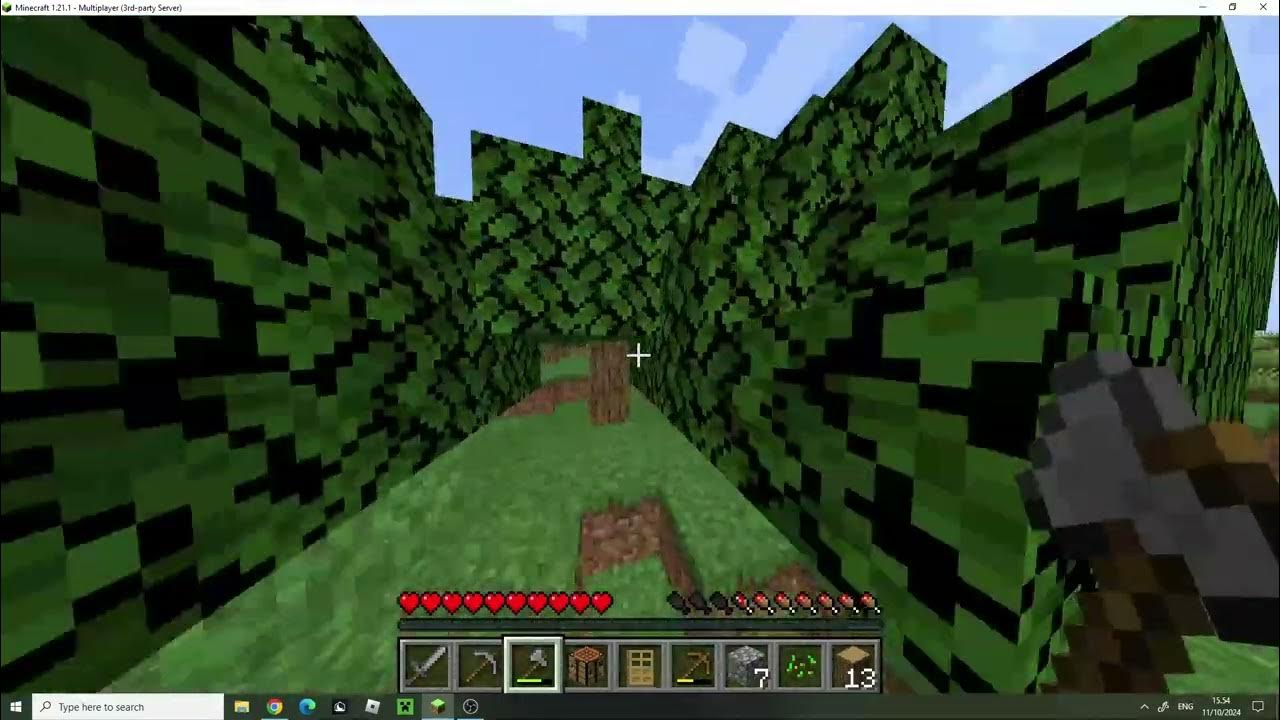 multiplayer minecraft world - YouTube