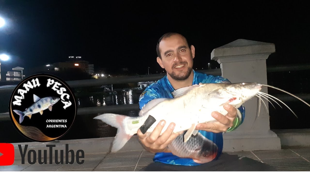 Pesca de Moncholo grande armado y bagre en Punta Ñaro y B° Tozquera ...