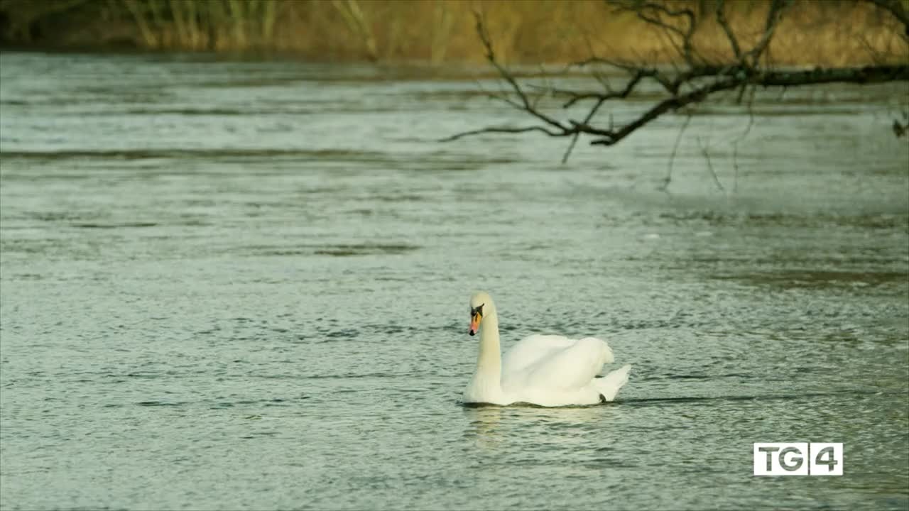 'Sé Mo Laoch - Ann Mulqueen - YouTube