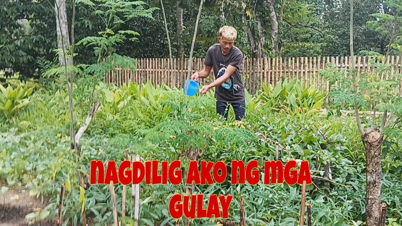 Nagdidilig ako ng gulay@JoxMTV @mrs.japersniper7165 - YouTube