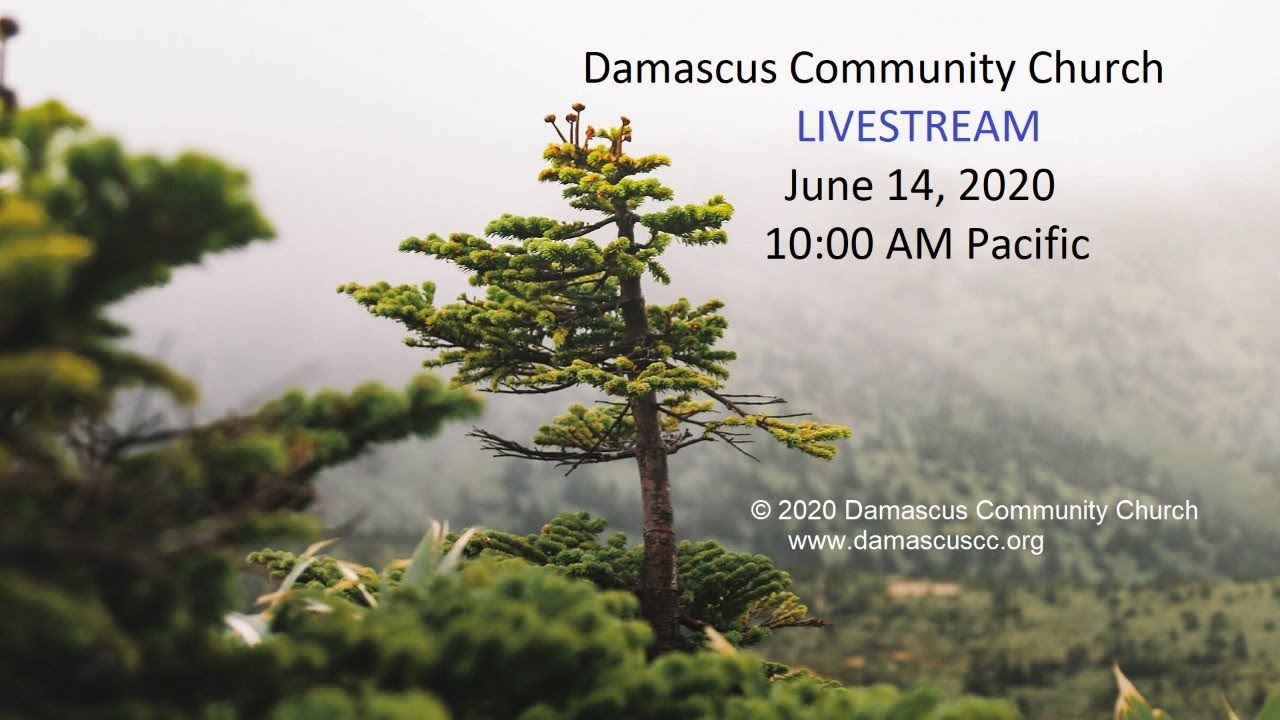 Damascus Community Church Live Stream, 10:00 AM, June 14, 2020 - YouTube