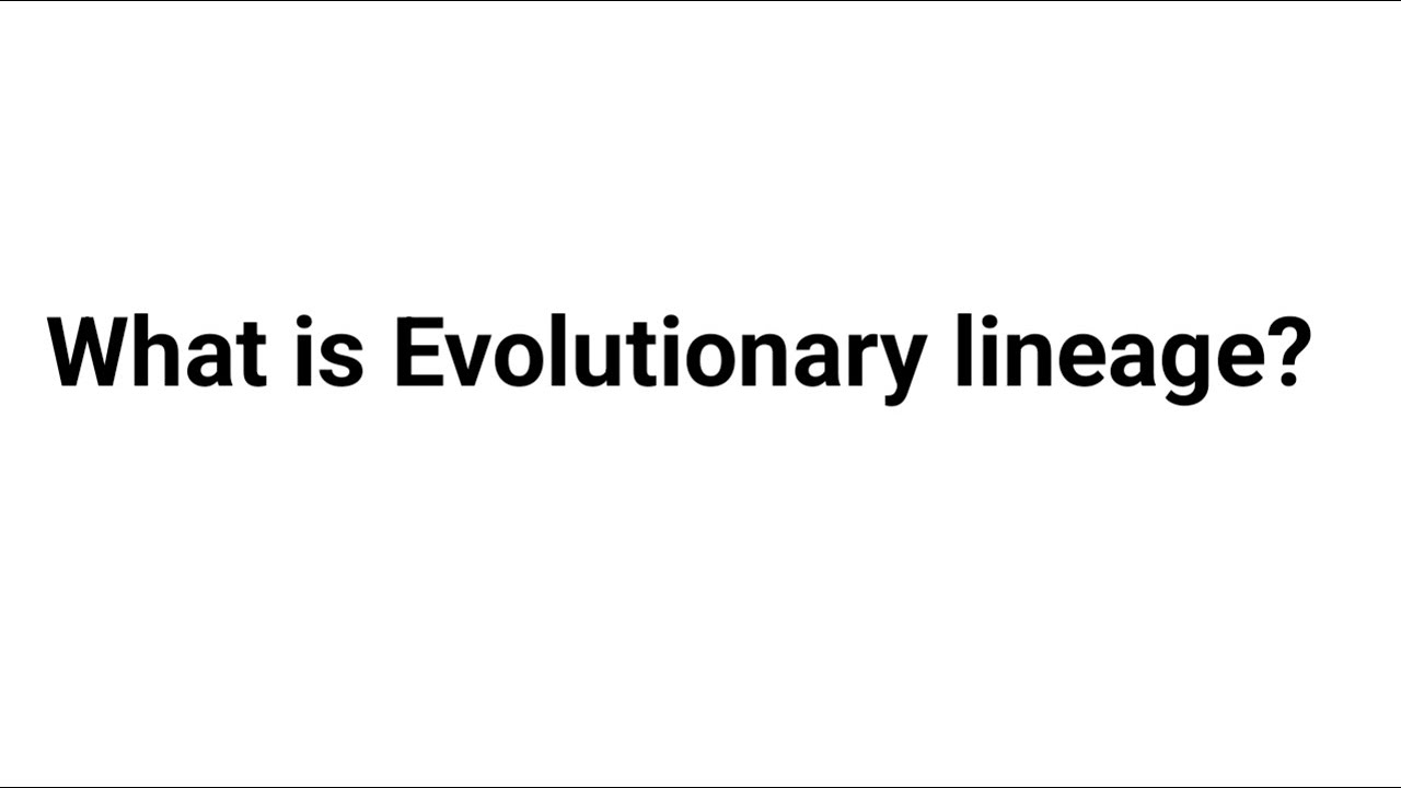 What is Evolutionary lineage ? - YouTube
