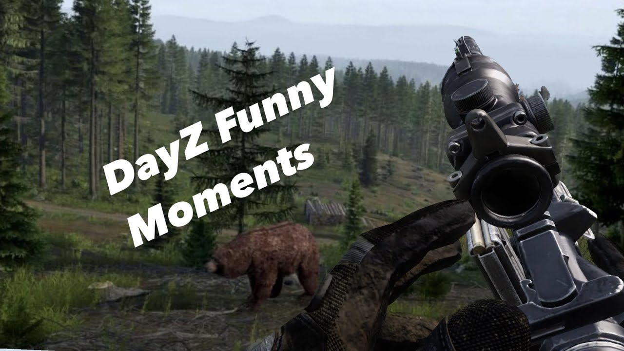 DAYZ FUNNY MOMENTS!!! - YouTube