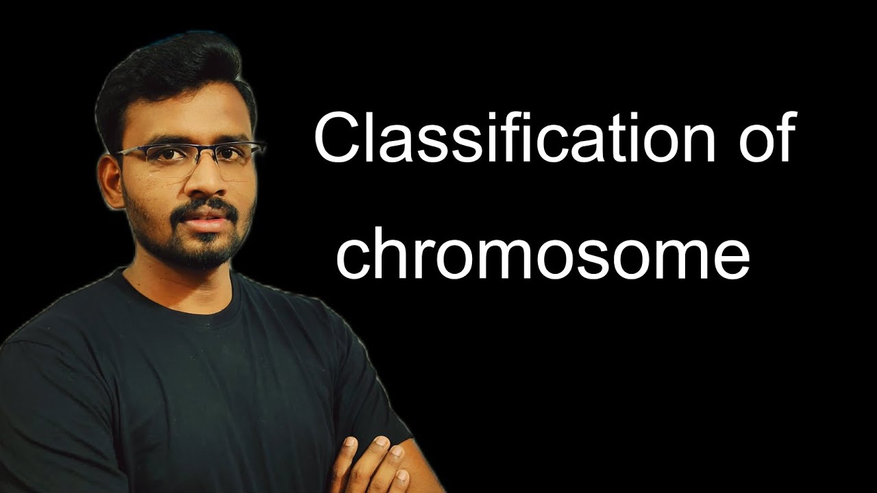Classification of Chromosome || Inheritance and variation ...
