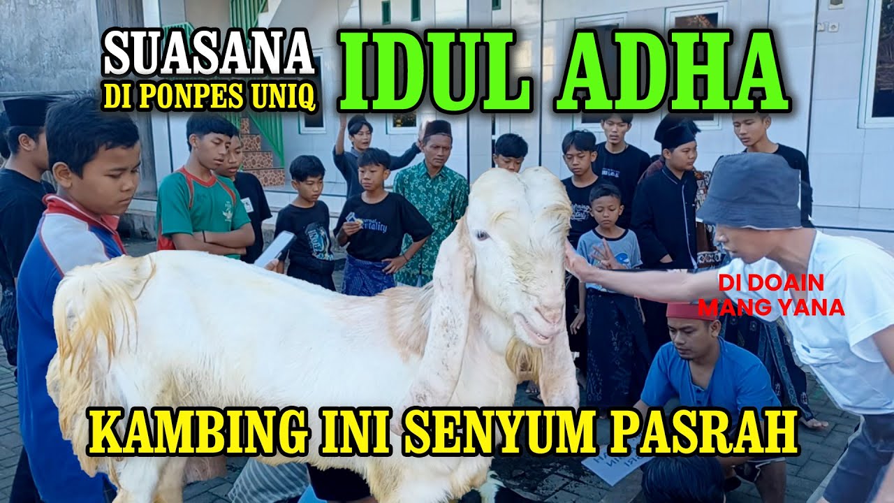 Suasana hari Raya Idul Adha dan Qurban 2025 YPP UNIQ Nusantara Malang ...