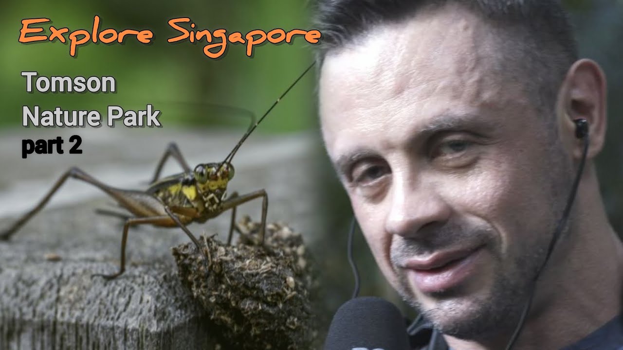 Explore Singapore: Thomson Nature Park, part 2 - YouTube
