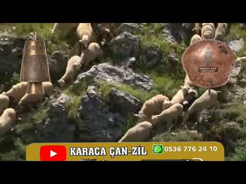 koyun sesi kaval sesi çan sesi yayla sesi çoban sesi uzun hava kaval
