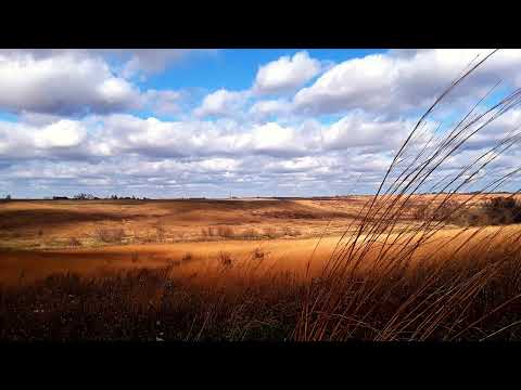 Relaxing Ambient Prairie Sounds