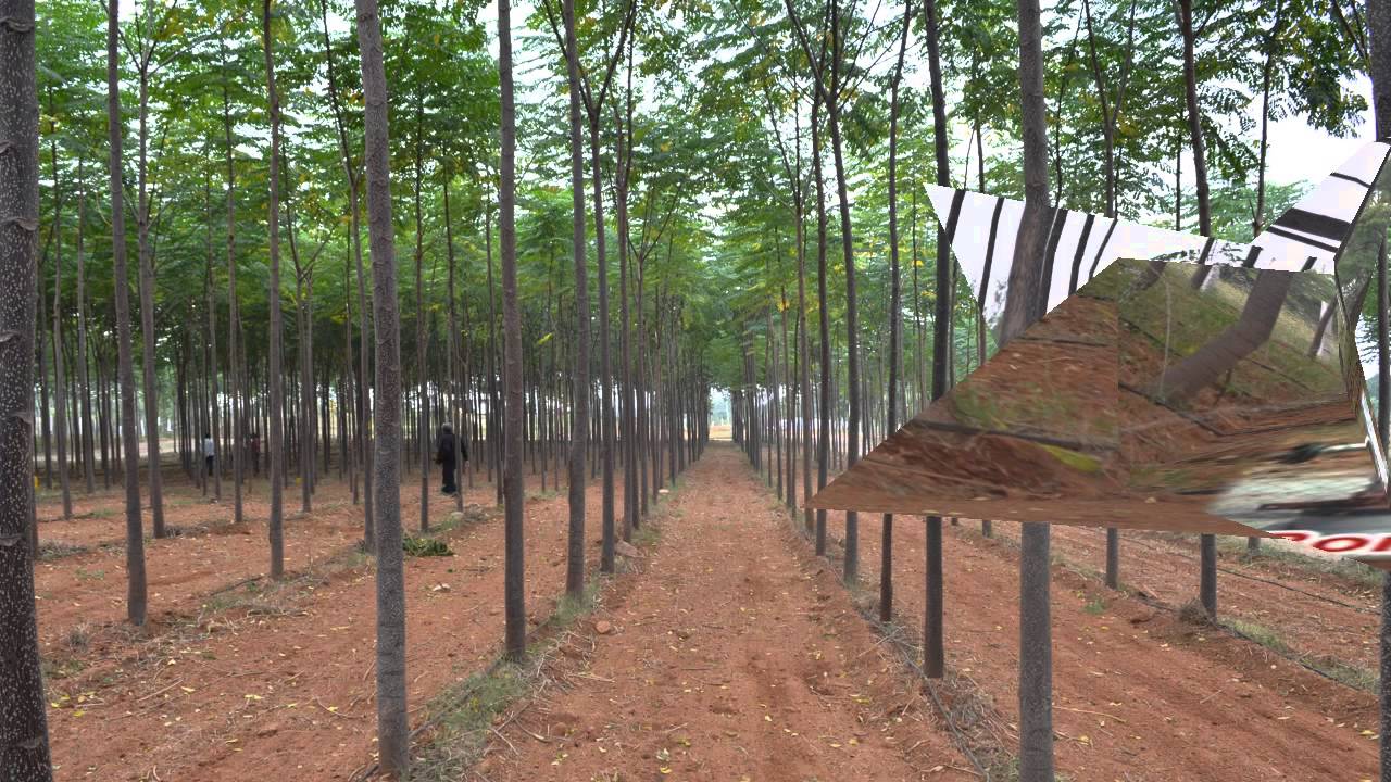 Sri Sai Uttej Farm Land Malabar Trees Presentation - YouTube