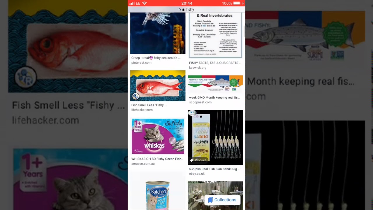 Fishy heaven - YouTube