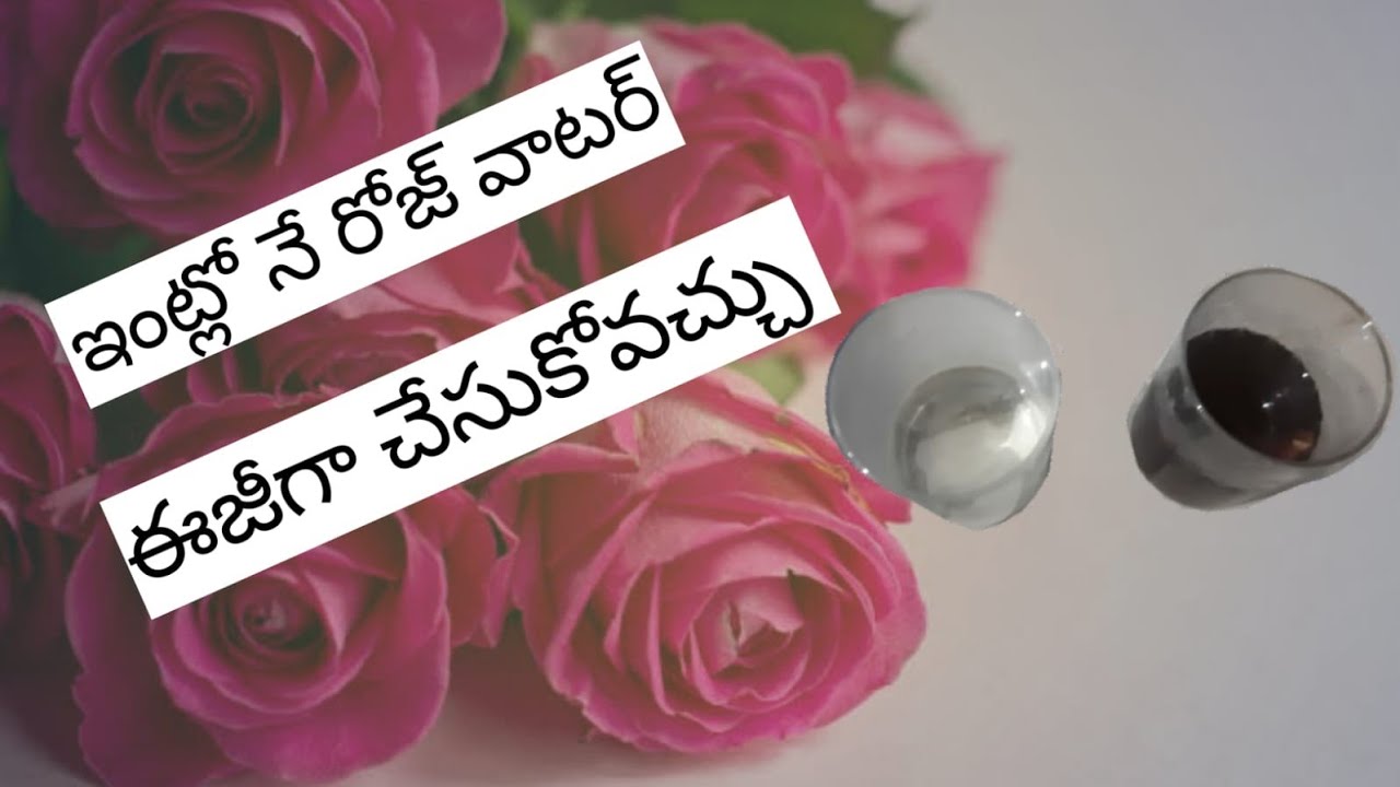 HOW TO MAKE ROSE WATER AT HOME distilled Rose Water Rose Water In how-to-make-rose-water-at-home-distilled-rose-water-rose-water-in