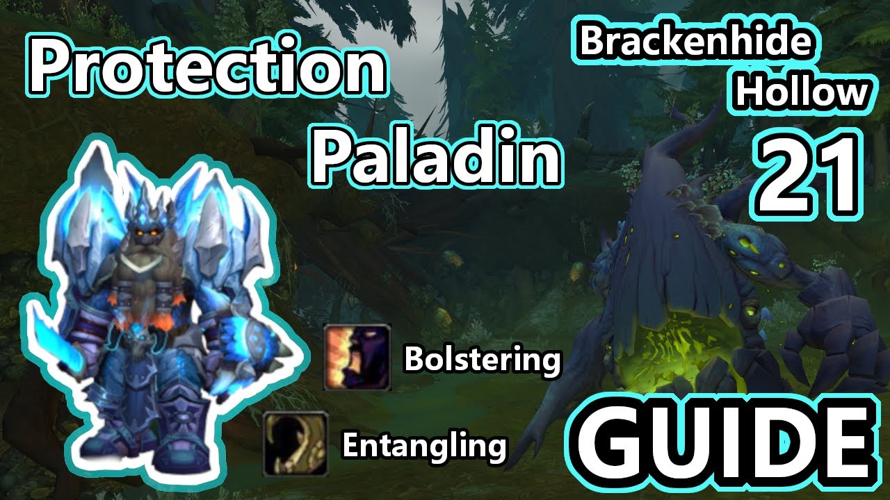Mythic 21 BRACKENHIDE HOLLOW Protection Paladin Guide and Full Dungeon ...
