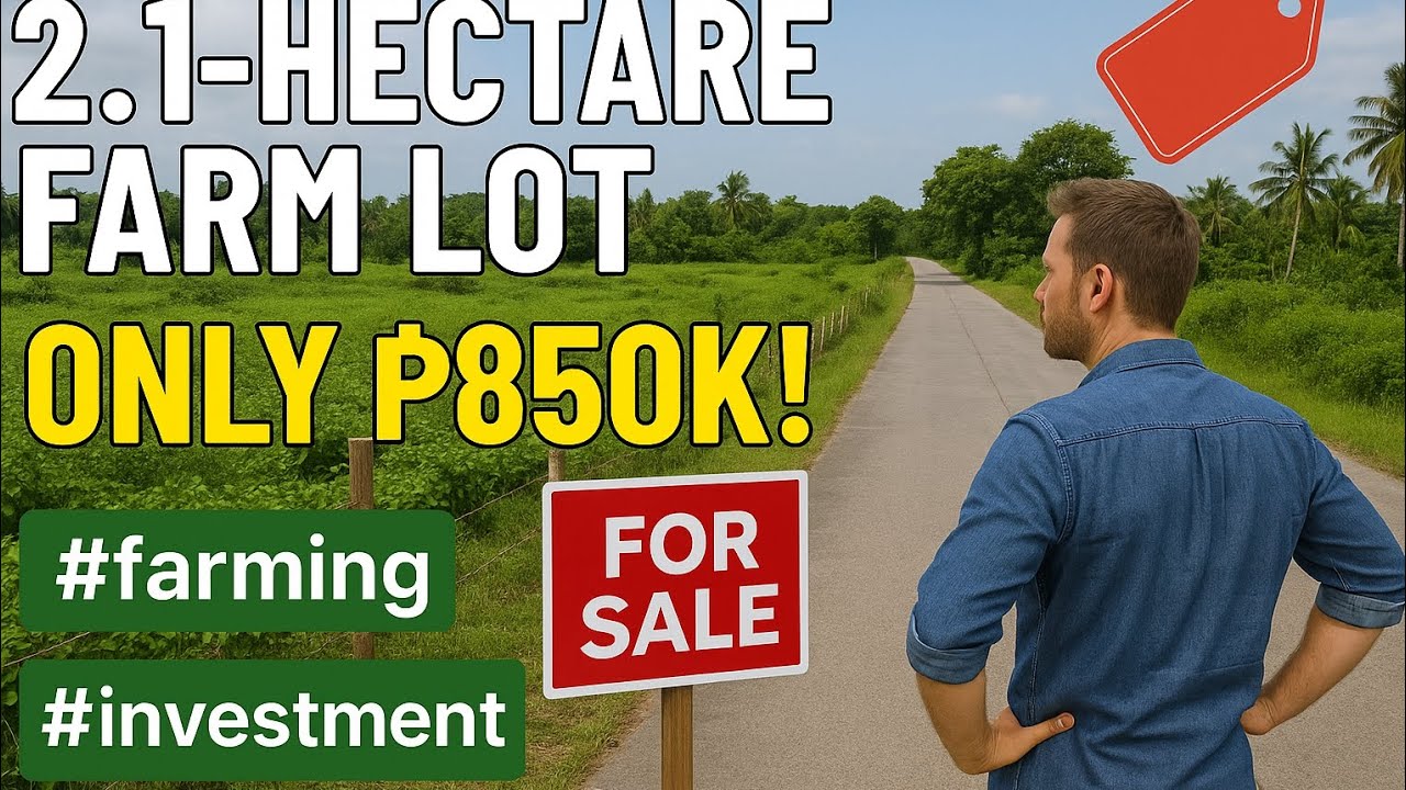 Sold (Vlog#112) 2.1-hectare farm lot. For only 850k! #farm #farmland ...