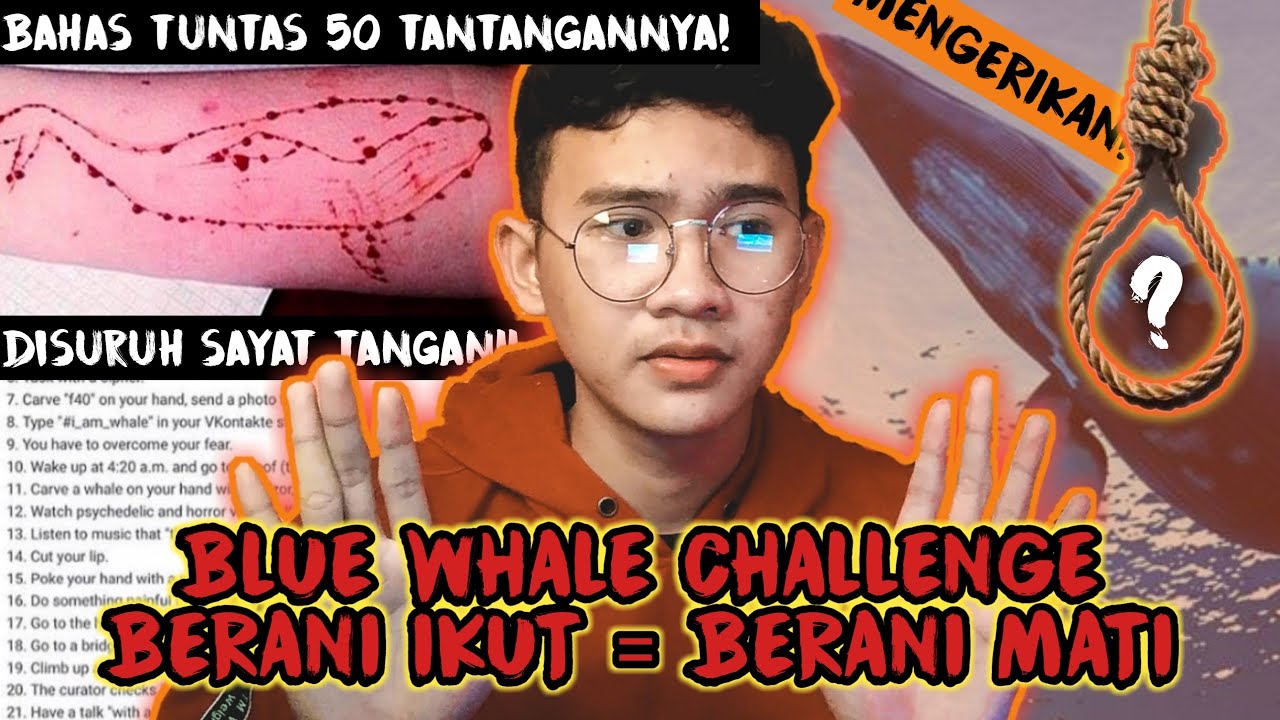 BLUE WHALE CHALLENGE! TANTANGAN MENGERIKAN - BERANI IKUT BERARTI BERANI ...