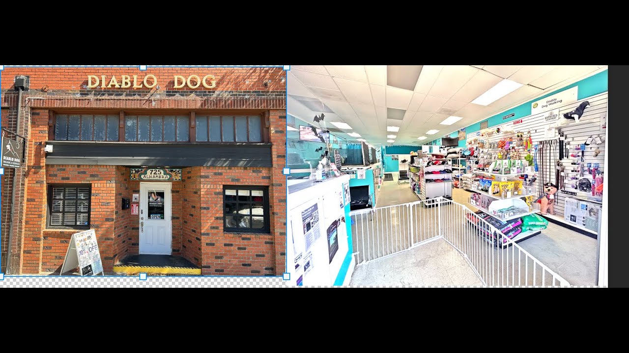Building Diablo Dog Pet Store - YouTube