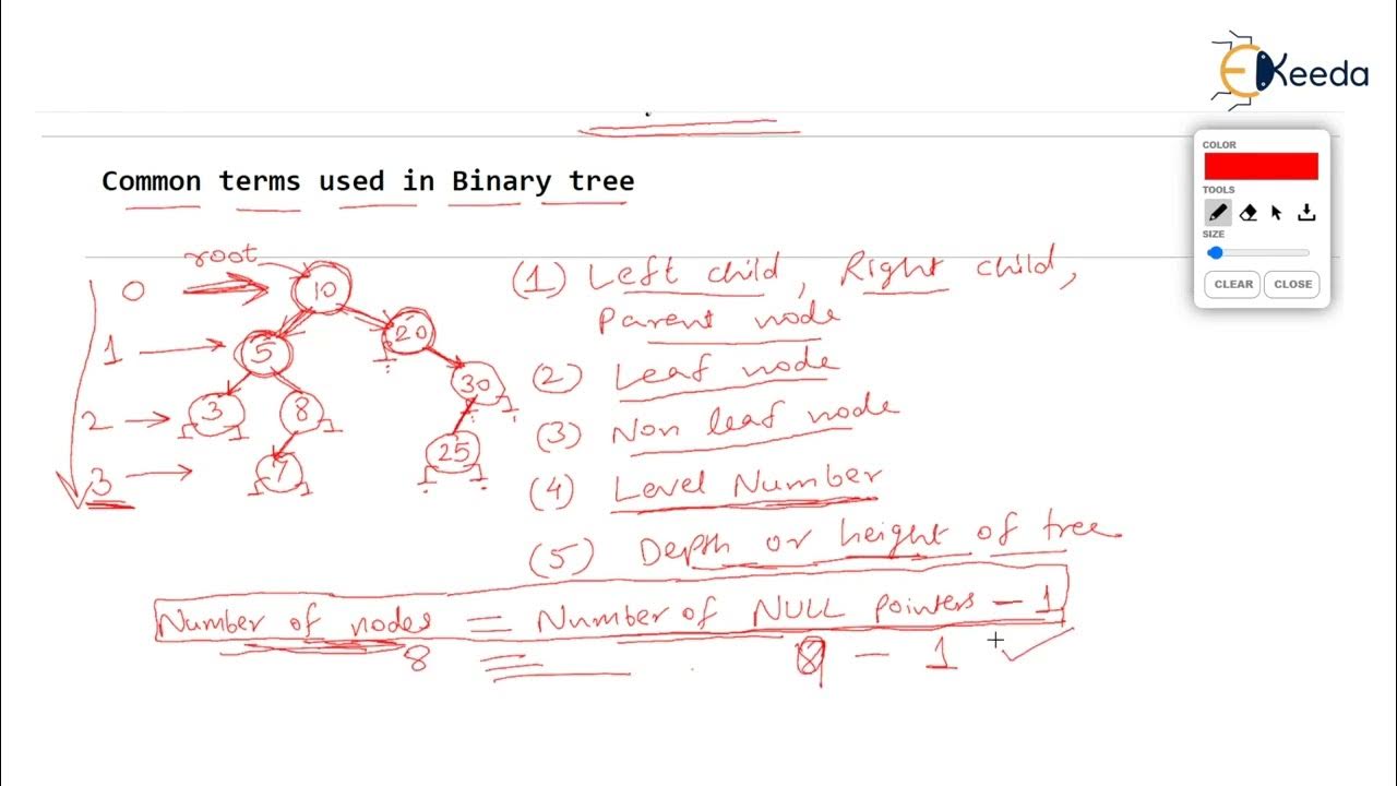 Terms Used in Binary Tree | Data Structure Using C - YouTube