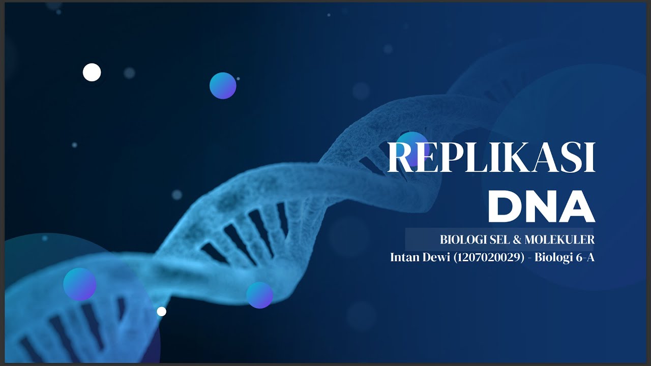 Replikasi DNA Prokariotik dan Eukariotik - YouTube