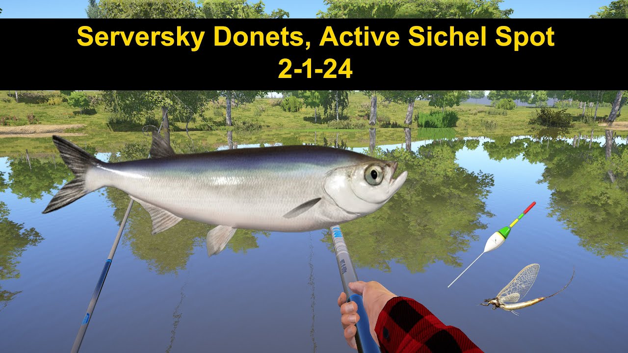 Russian Fishing 4, Seversky Donets, Sichel Spot 2-1-24 - YouTube