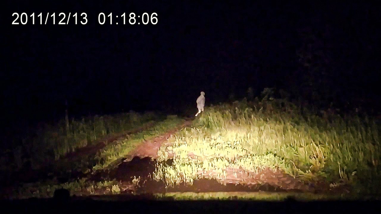 30 Most Disturbing Forest Encounters Caught on Camera - YouTube