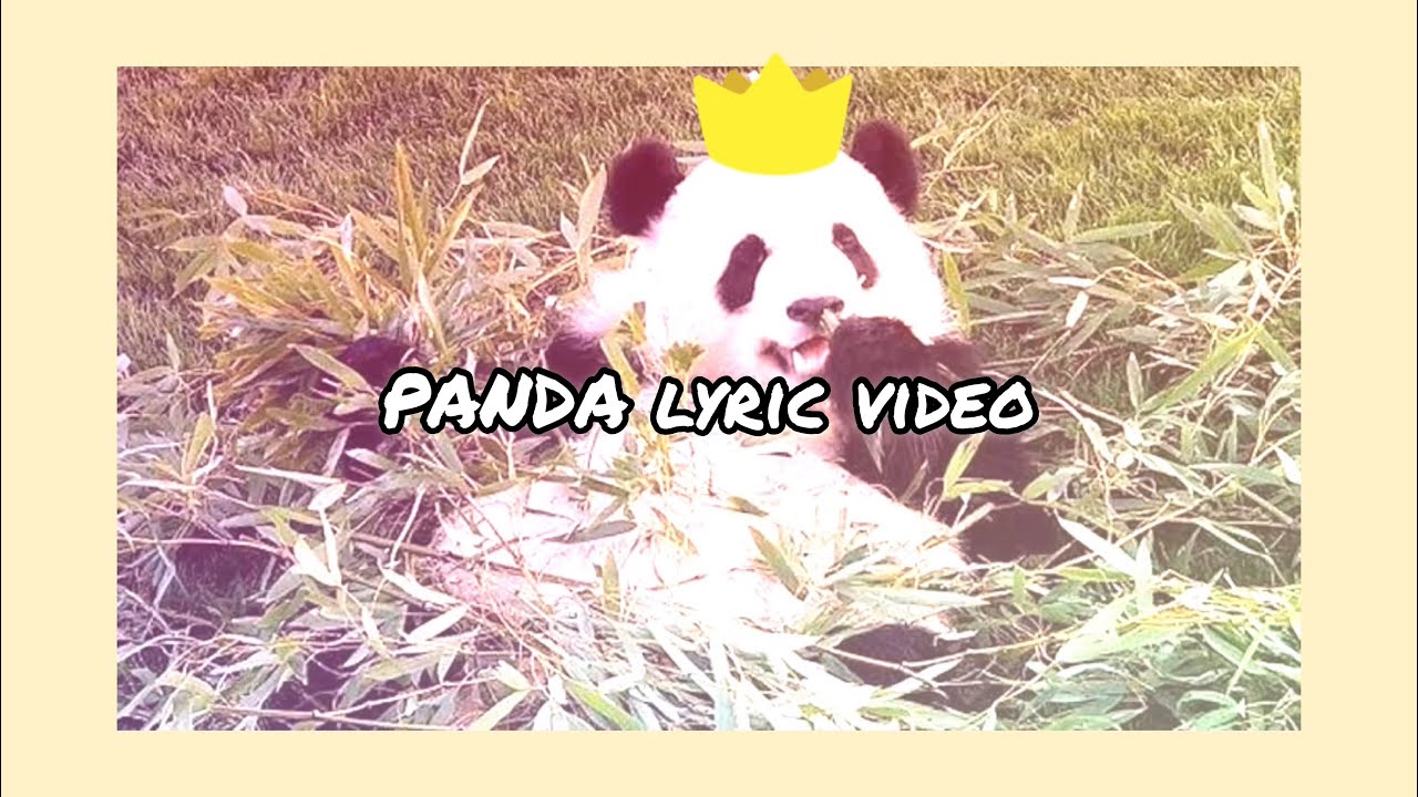 PANDA lyric video - YouTube
