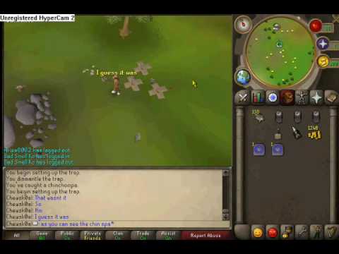 Grey Chinchompa Hunting Guide - YouTube