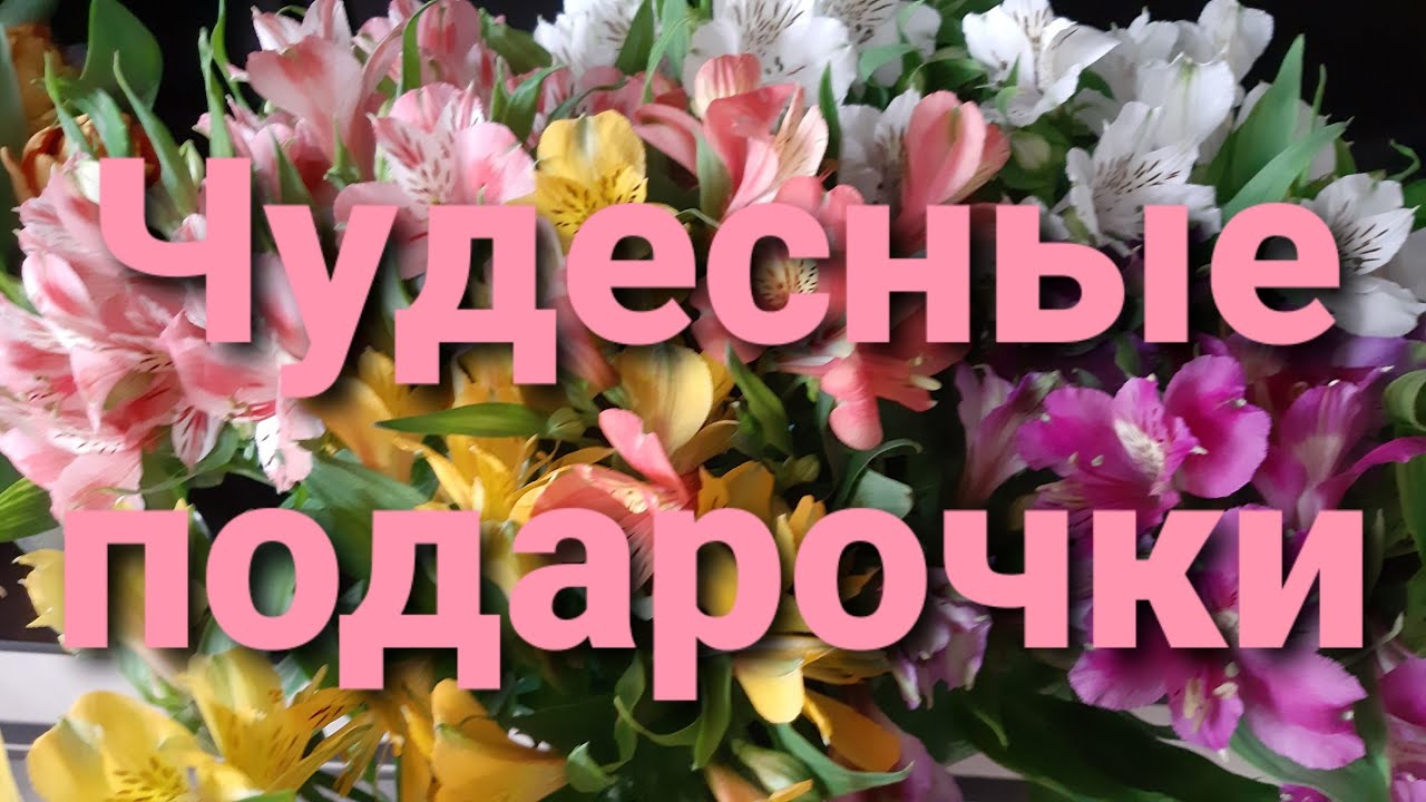 Мои подарочки. Ролик 516. 4 апреля 2023. - YouTube