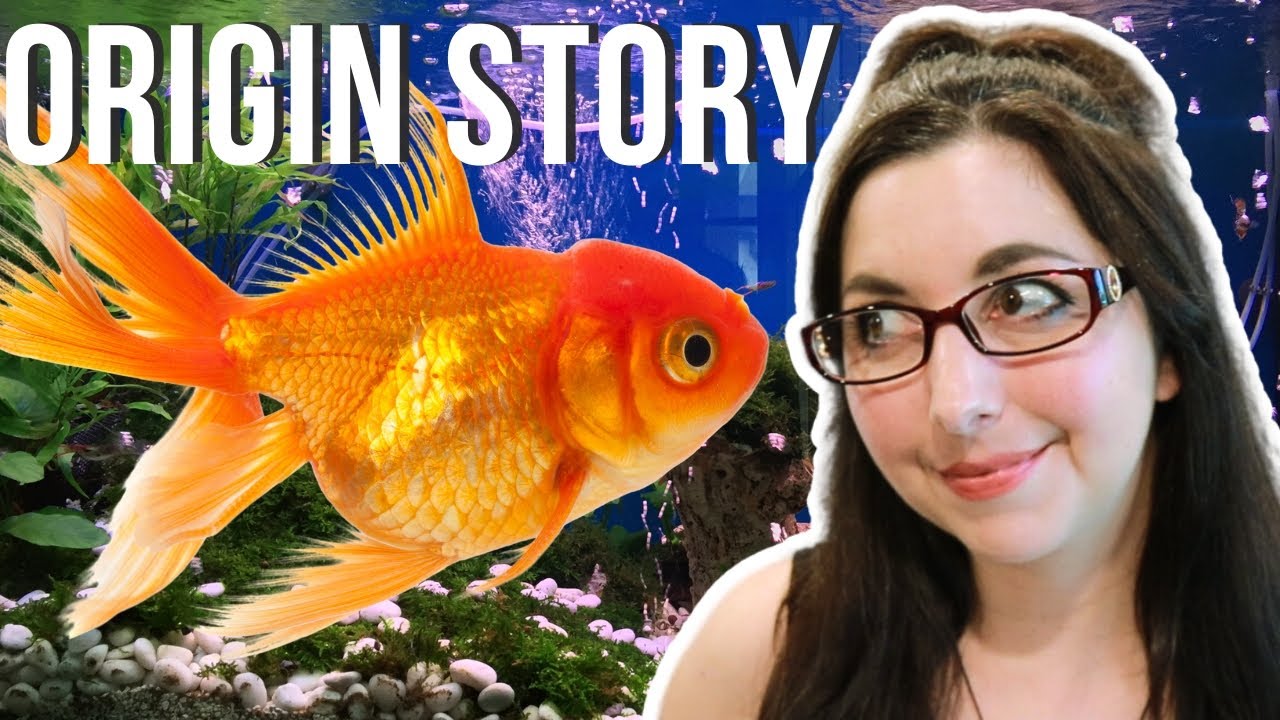 Goldfish Origins 🐠 The History of Keeping Goldfish as Pets - YouTube