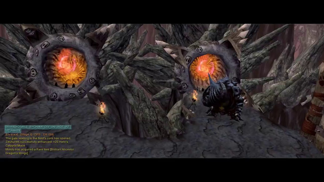 【DN SEA】Cerberus Beginner Nest - YouTube