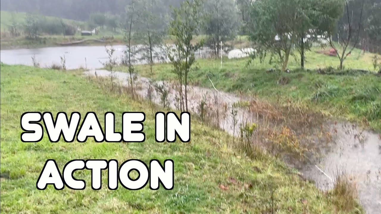 Permaculture Design in Practice - increasing water catchment with swale ...