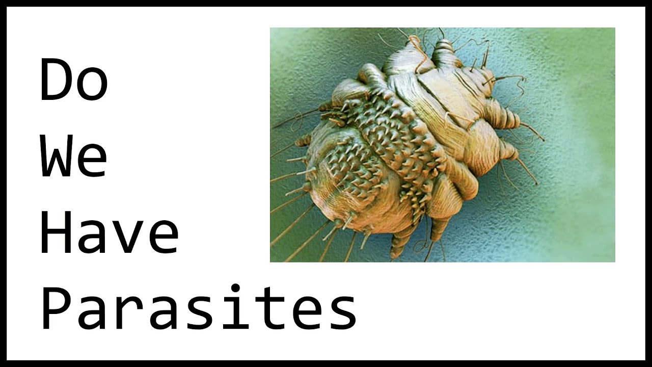 Does Everyone Have Parasites - YouTube