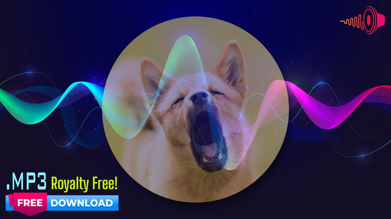Dogs Barking Howling Noise Sound Effect Audio - YouTube