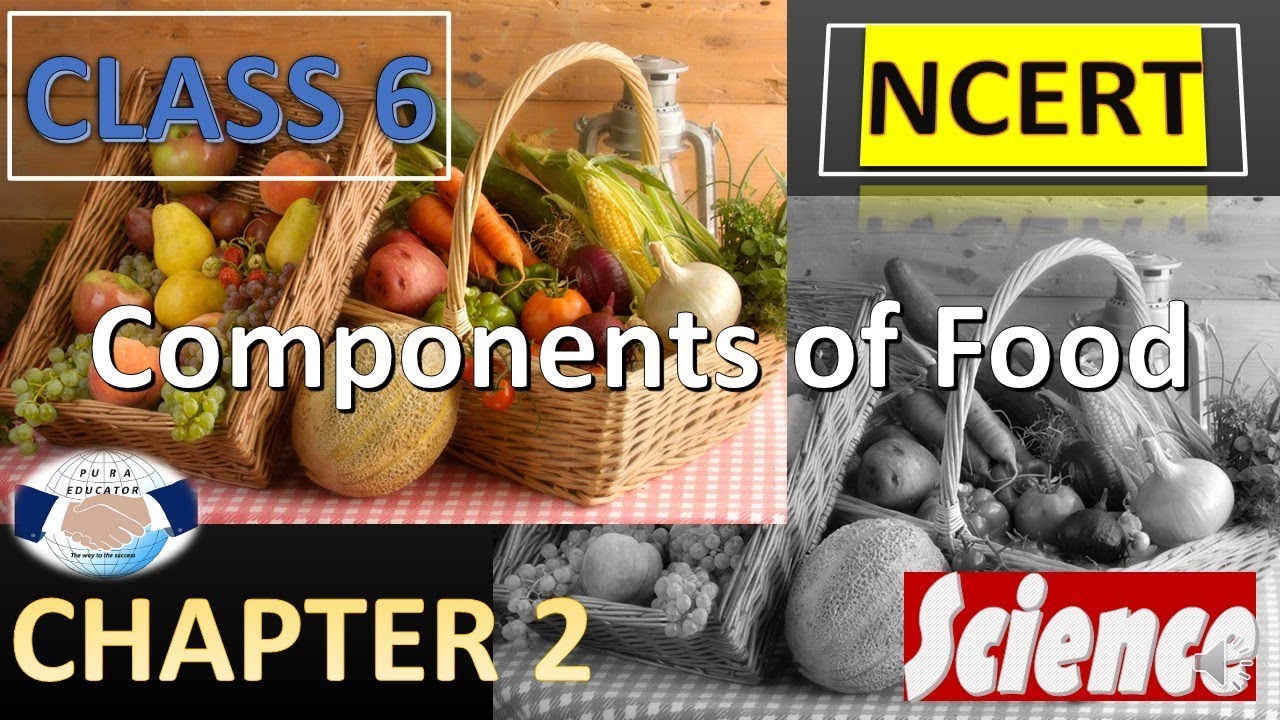 NCERT SCIENCE CLASS 6 CHAPTER 2 COMPONENTS OF FOOD - YouTube
