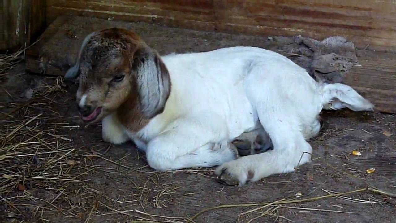 Kathy Roux - YouTube