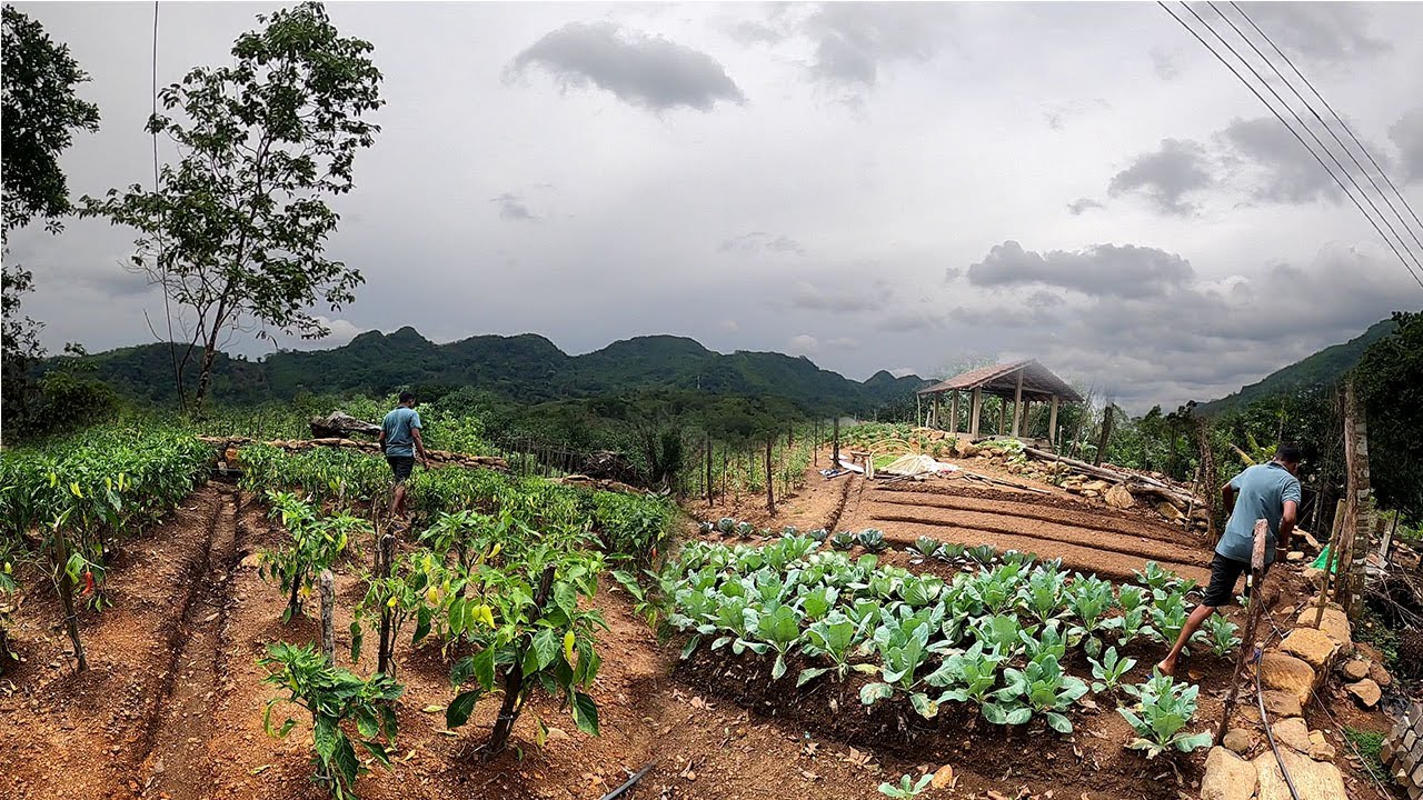 ඉඩම් මිලදී ගැනිමේන් පසු අප ලබා දෙන සේවාව/SITHARA/0770609858/IDAM/LAND ...