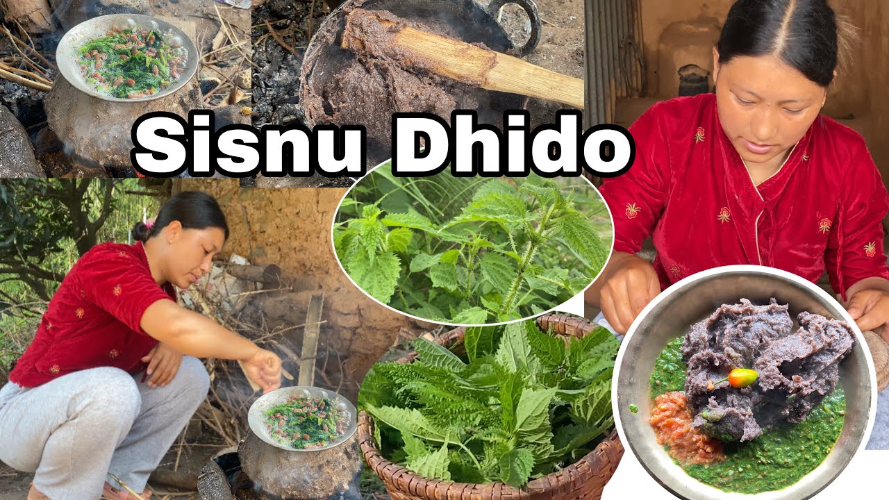 Sisnu dhido nepali authentic Khana cooking and eating in village ...