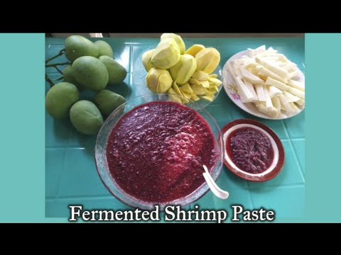 How to cook Fermented Shrimp Paste (Bagoong Alamang) at home - YouTube