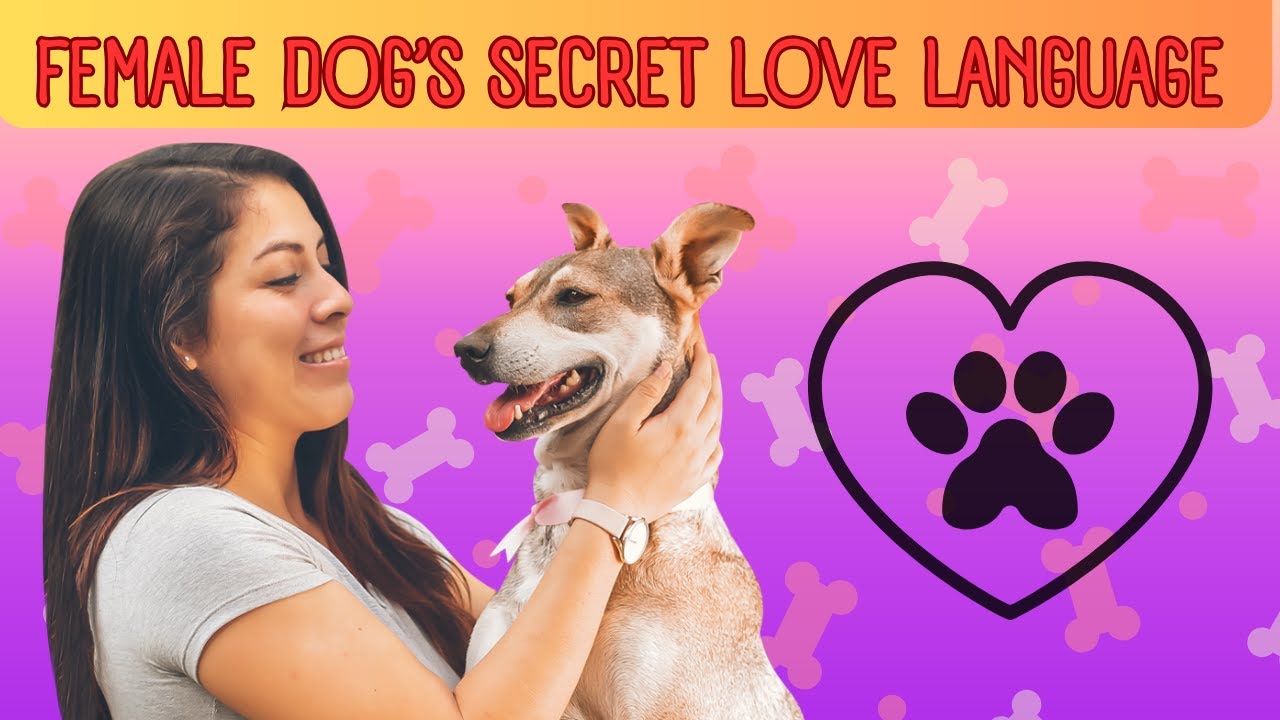 8 Shocking Secrets Only Female Dogs Share With Their Owners! - YouTube