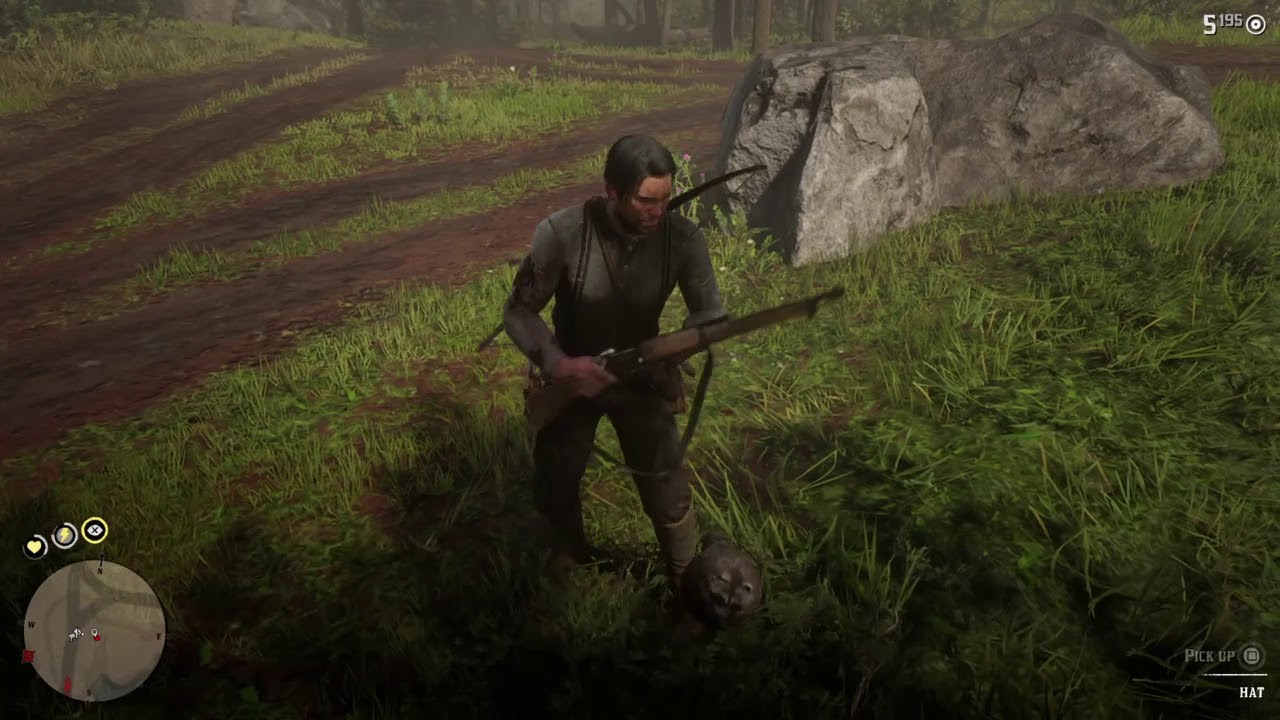 Red Dead Redemption 2 - How To Study Panther / Florida Panther - YouTube