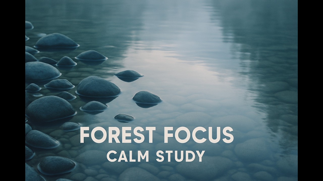 🌲 Forest Focus – 1 Hour Calm Ambient for Work & Study 15hz betawaves ...