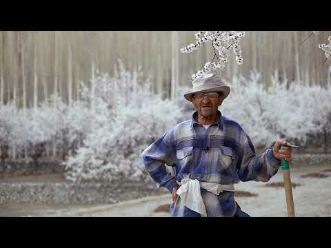 Mayon ea Wogh | Wakhi song by Tajran Shah | Lyrics Peer Ali (late)