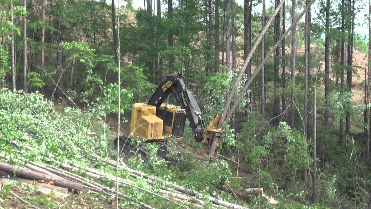 Tigercat L830C feller buncher in Mississippi - YouTube
