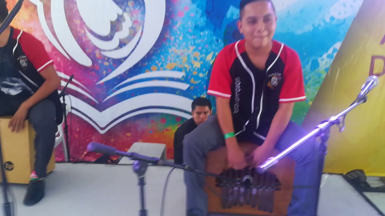 Cobaev 08 concursos estatales Oro 🥇 - YouTube