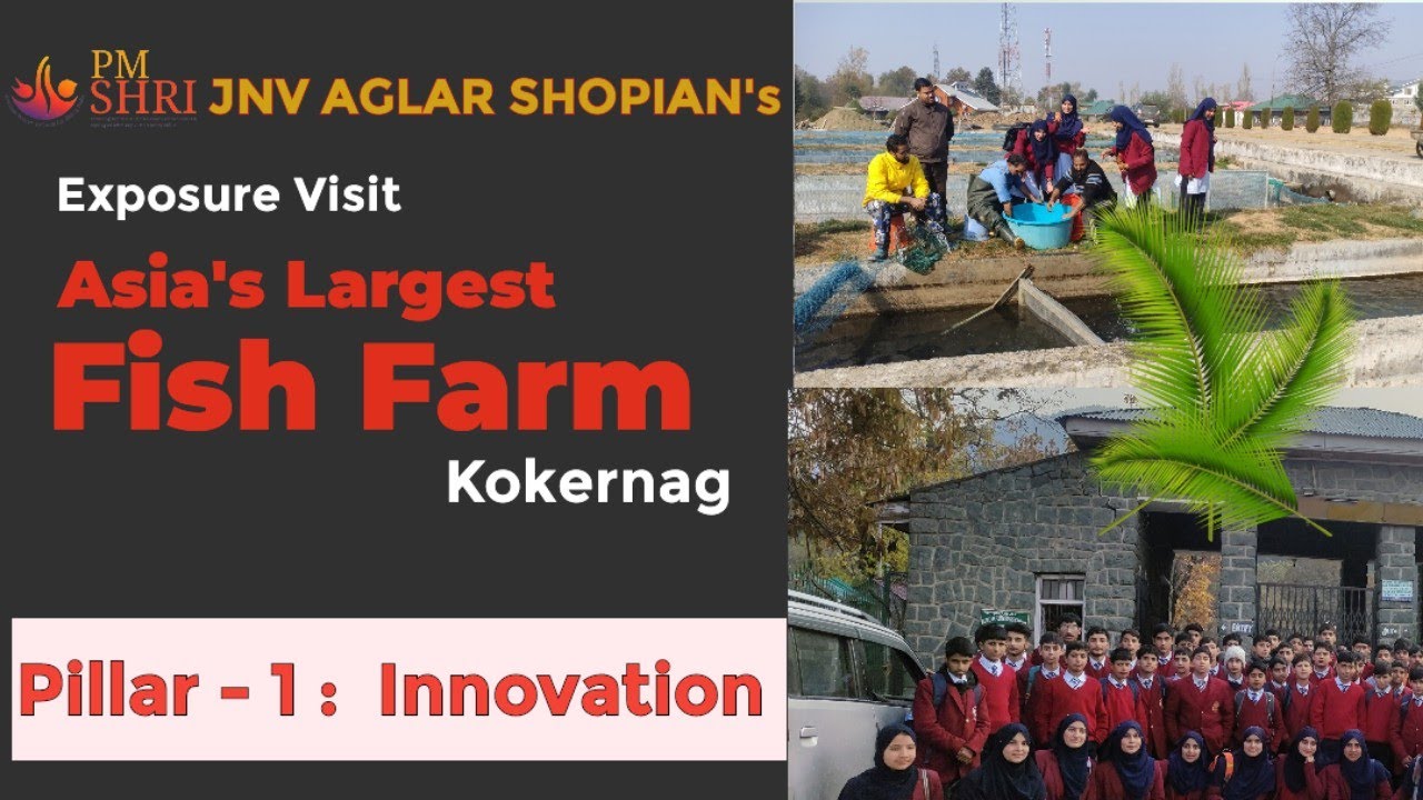 Exposure Visit to Asia's largest Trout fish farm in kokernag, J&K# ...