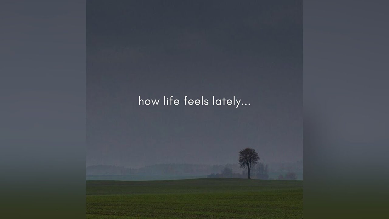 how life feels lately... - YouTube