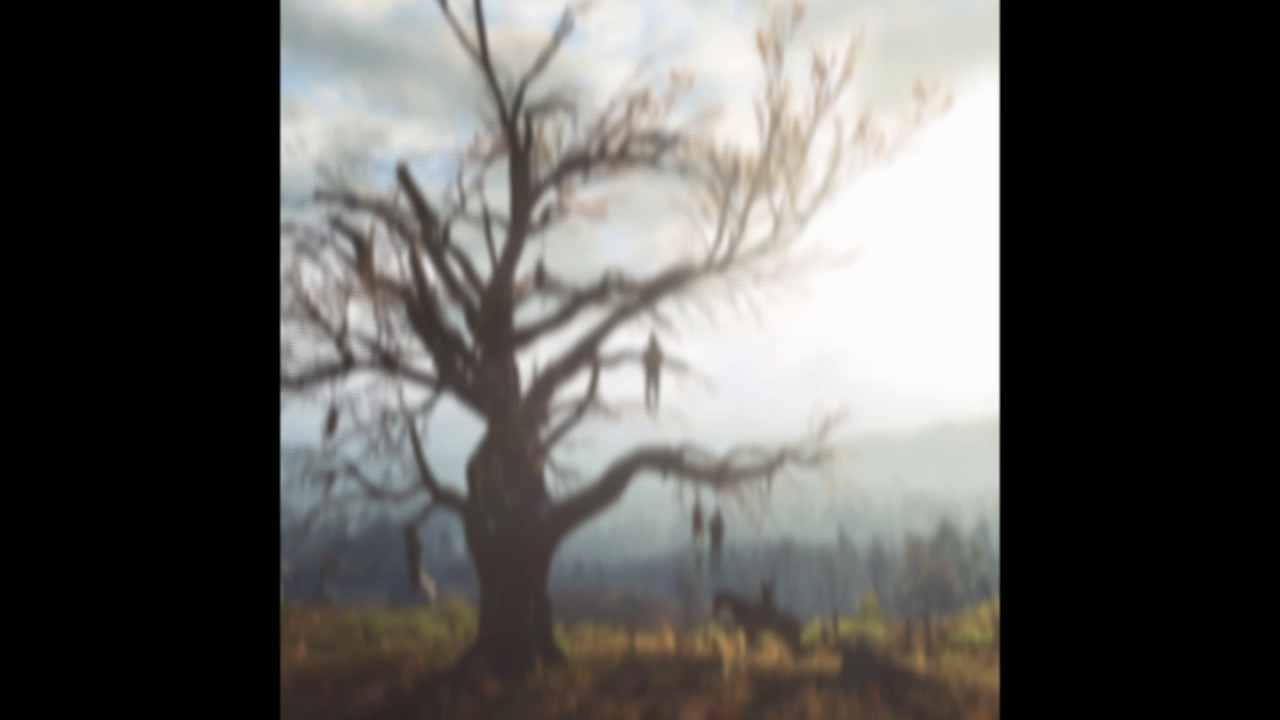 Daniel Cann - Ara - YouTube