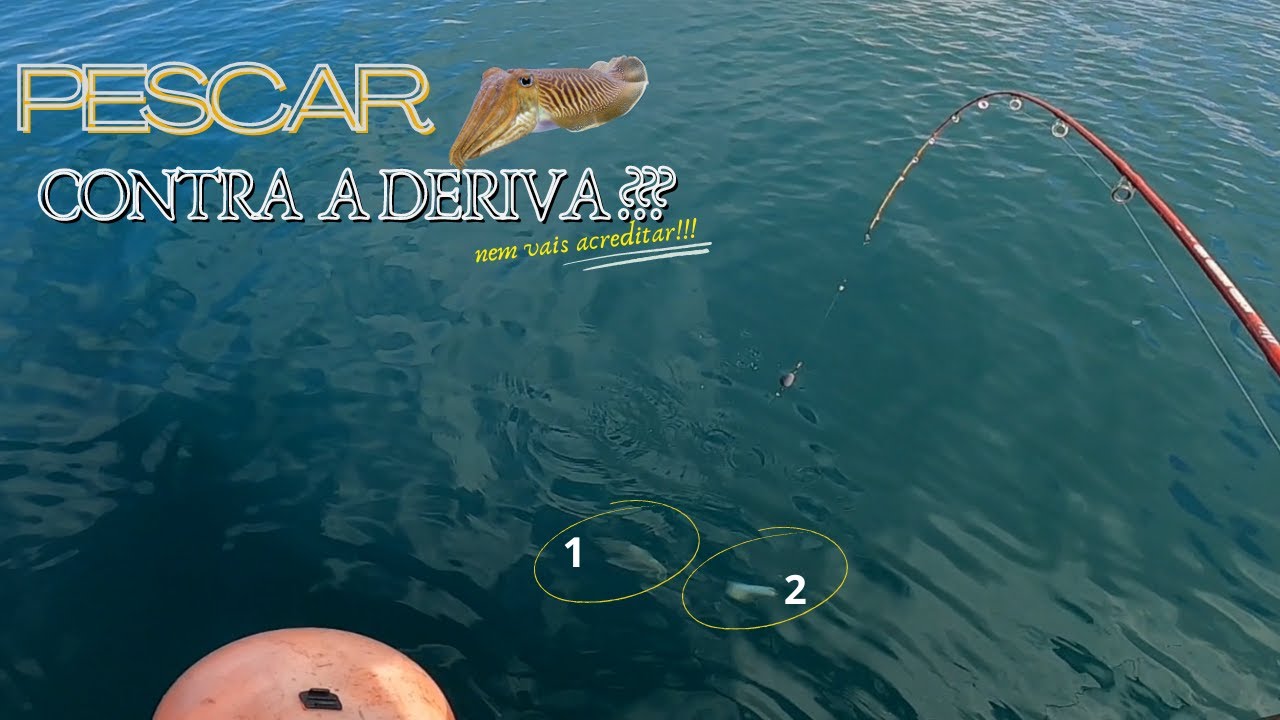 PESCAR AO CHOCO CONTRA A DERIVA??? NÃO VAIS ACREDITAR!!!😱😱 - YouTube