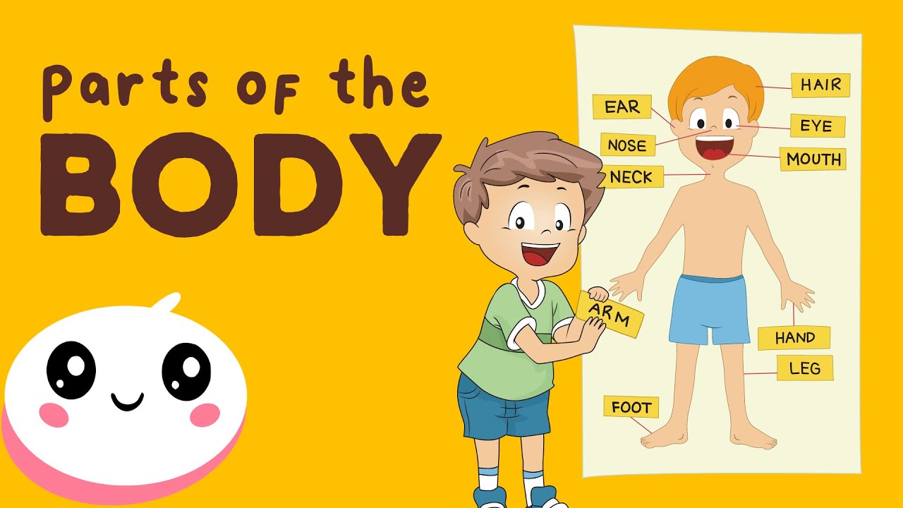 Parts of the Body | Mga Bahagi ng Katawan | English to Tagalog Learning ...