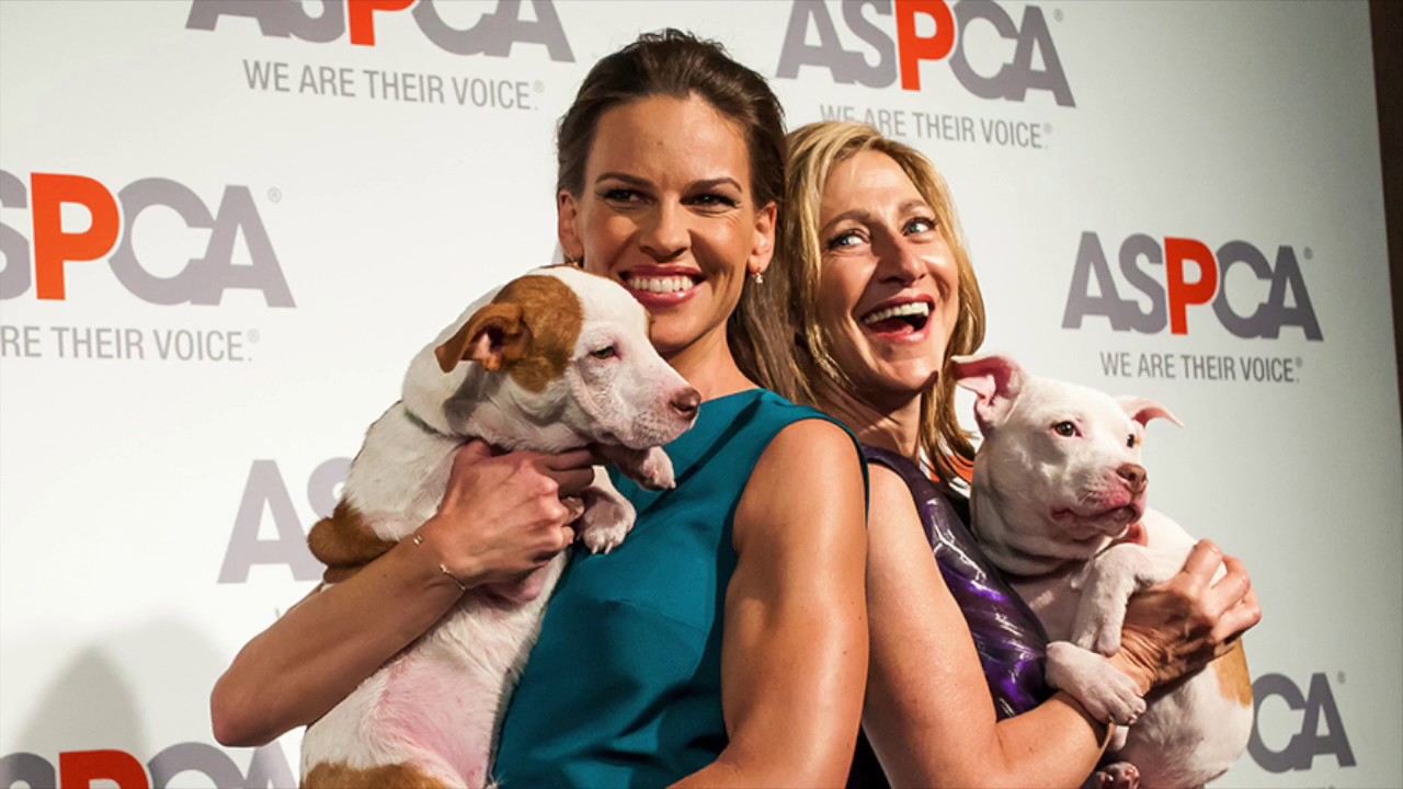 The Founding of the ASPCA (Final) - YouTube